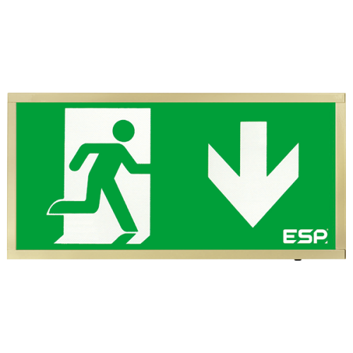 ESP Duceri Emergency Surface Exit Box 3w Led Ip20 Down Legend Lithium ...