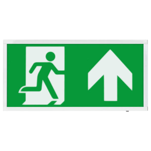 ESP Duceri Emergency Surface Exit Box 3w Led Ip20 Up Legend Lithium ...