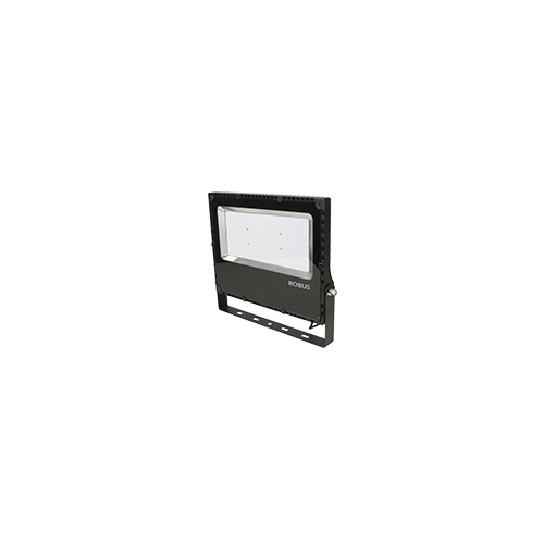Robus RCM20030-04 COSMIC, 170W LED flood light, IP65, Black, 3000K (Black)